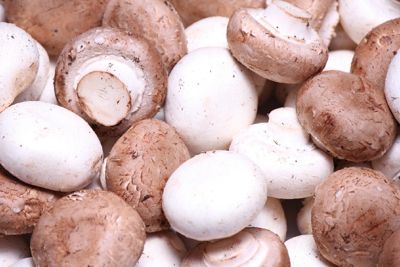 TREHALOSA; INCI: Trehalose