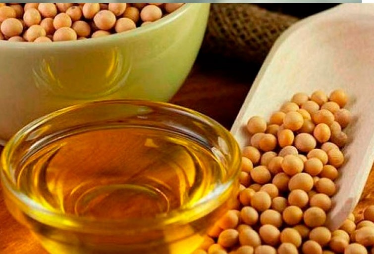 Glycine Soja Germ Extract